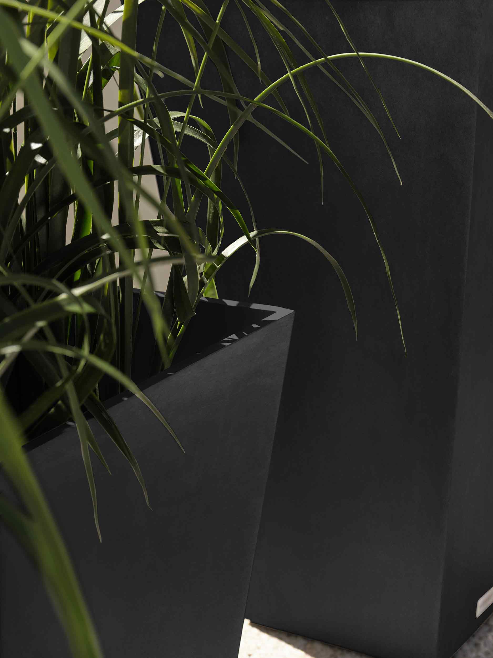 our story – Veradek