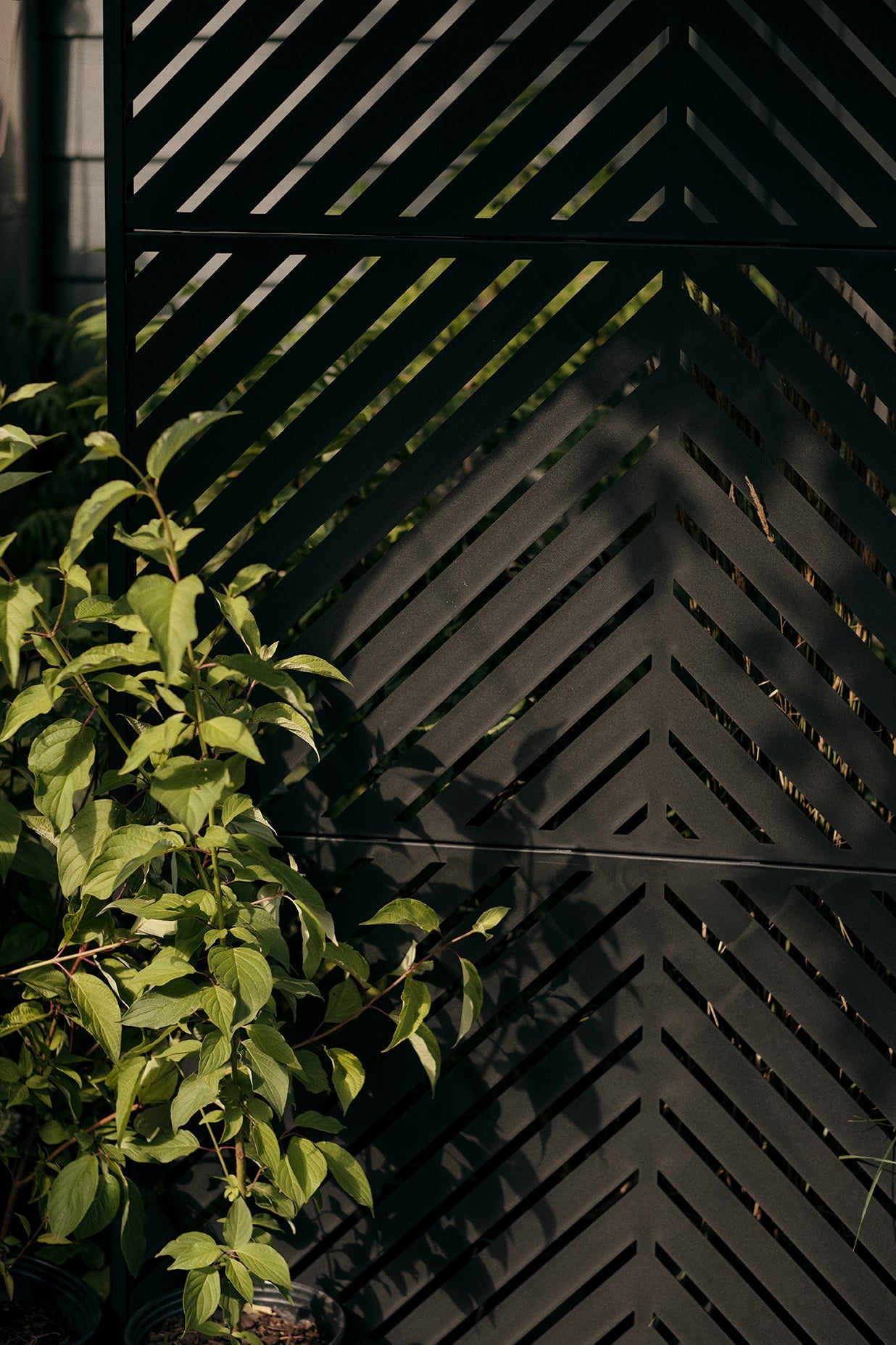 outdoor privacy screens – Veradek