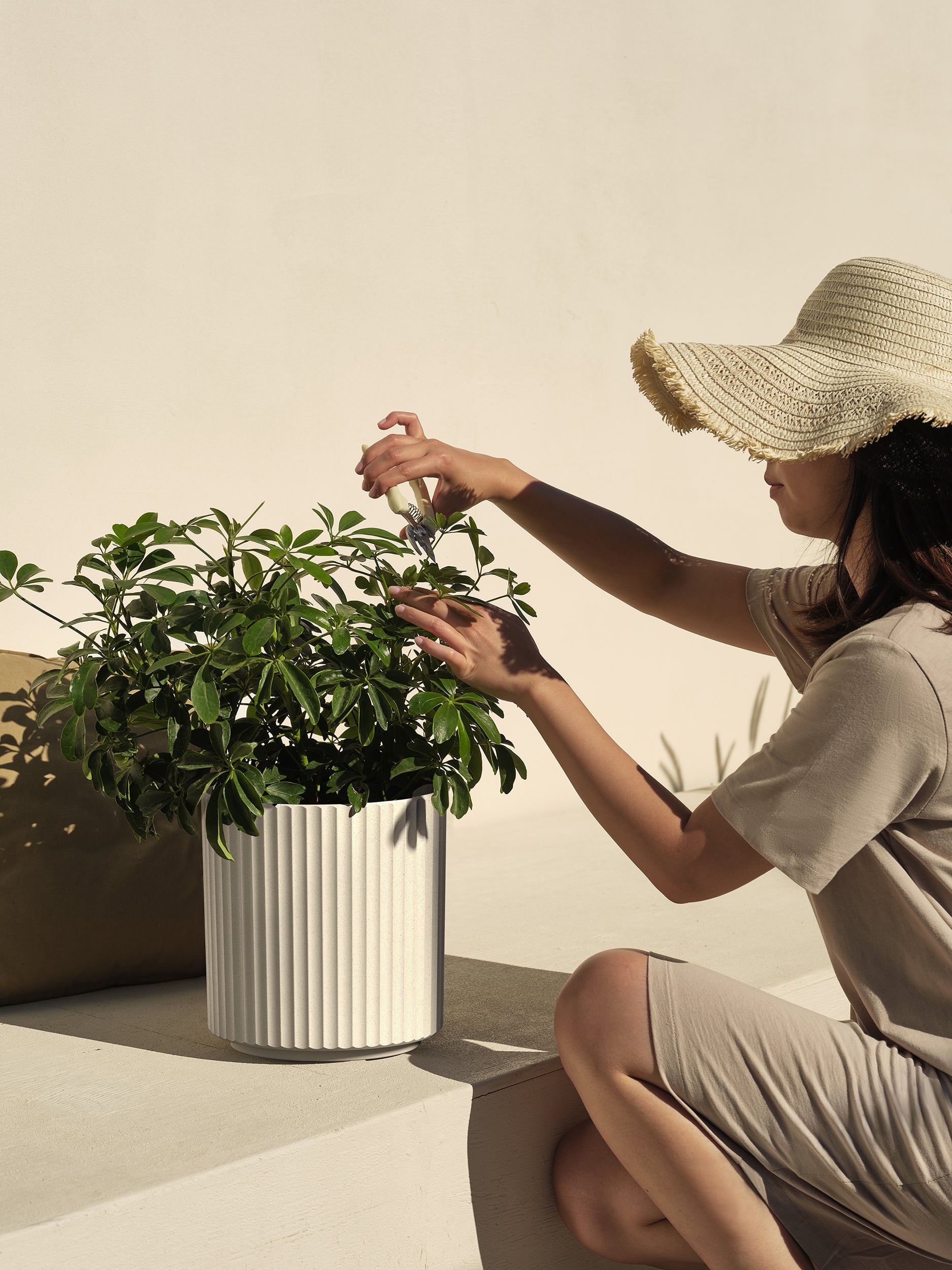 new arrivals – Veradek US