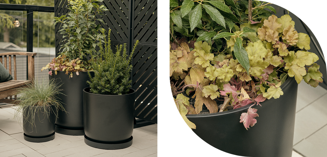 meet the tapered charmer – Veradek