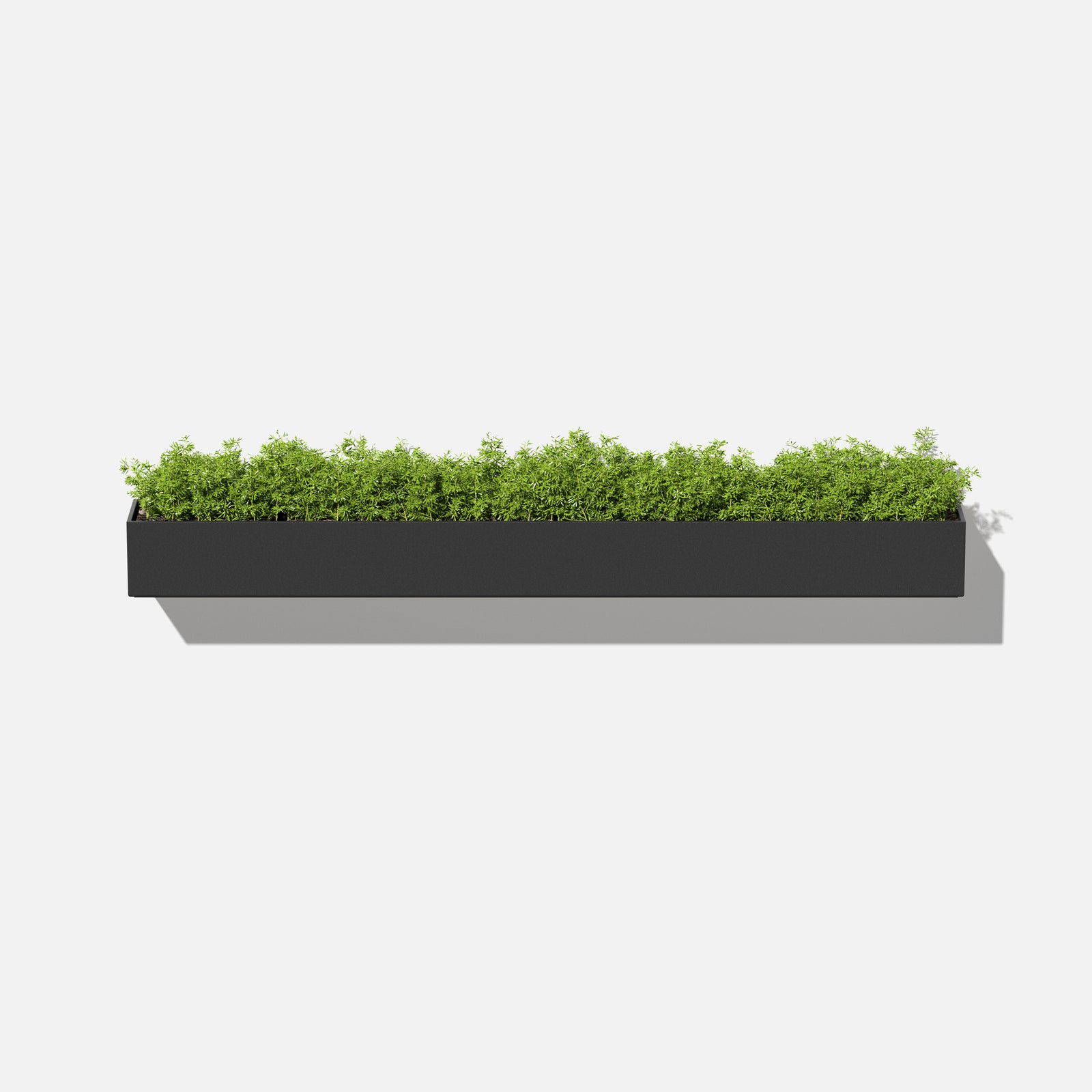 geo hanging trough planter– Veradek